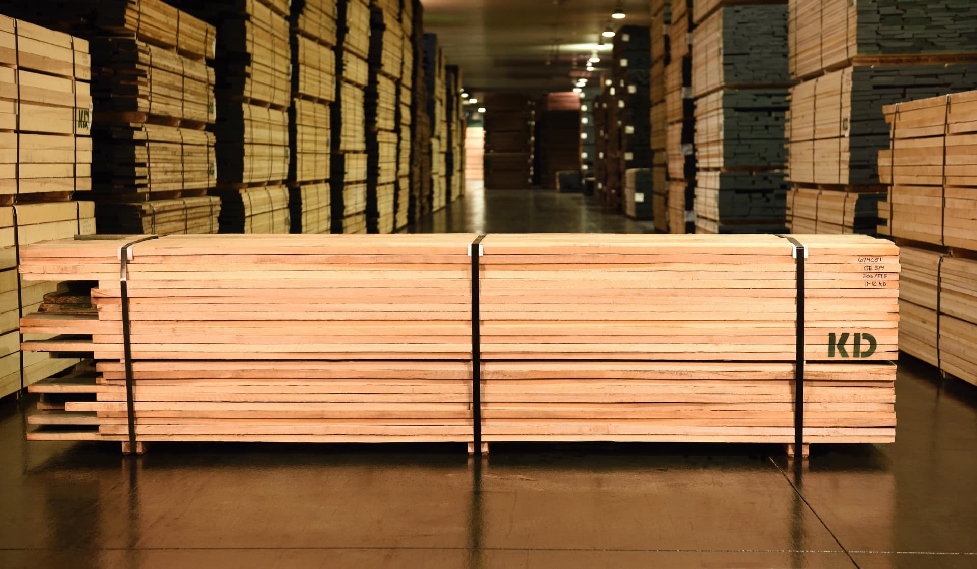 Grey Elm (4/4 - 8/4) - Primewood